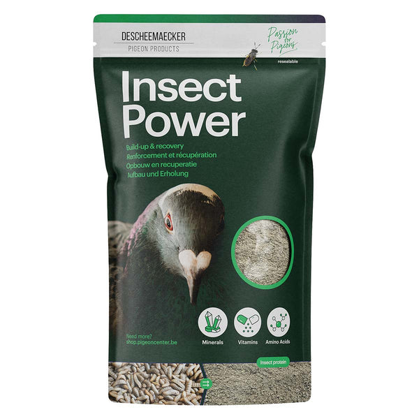 Insect Power | pigeoncenter